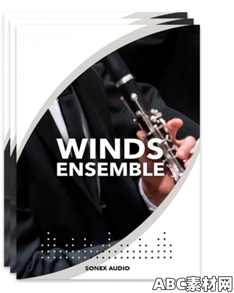 Sonex Audio Woodwinds Ensemble [KONTAKT]|ABC素材资源网