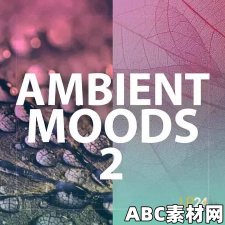 Lp24 Ambient Moods 2 WAV|ABC素材资源网
