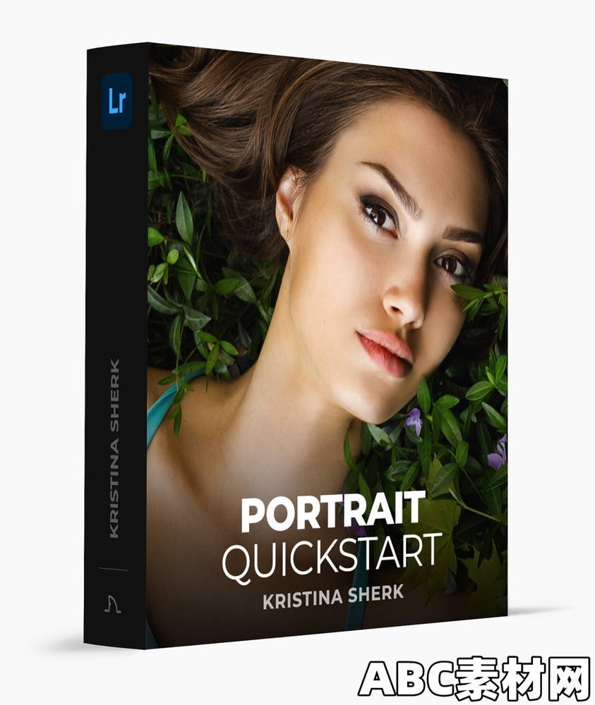 Shark Pixel Portrait Quickstart|ABC素材资源网