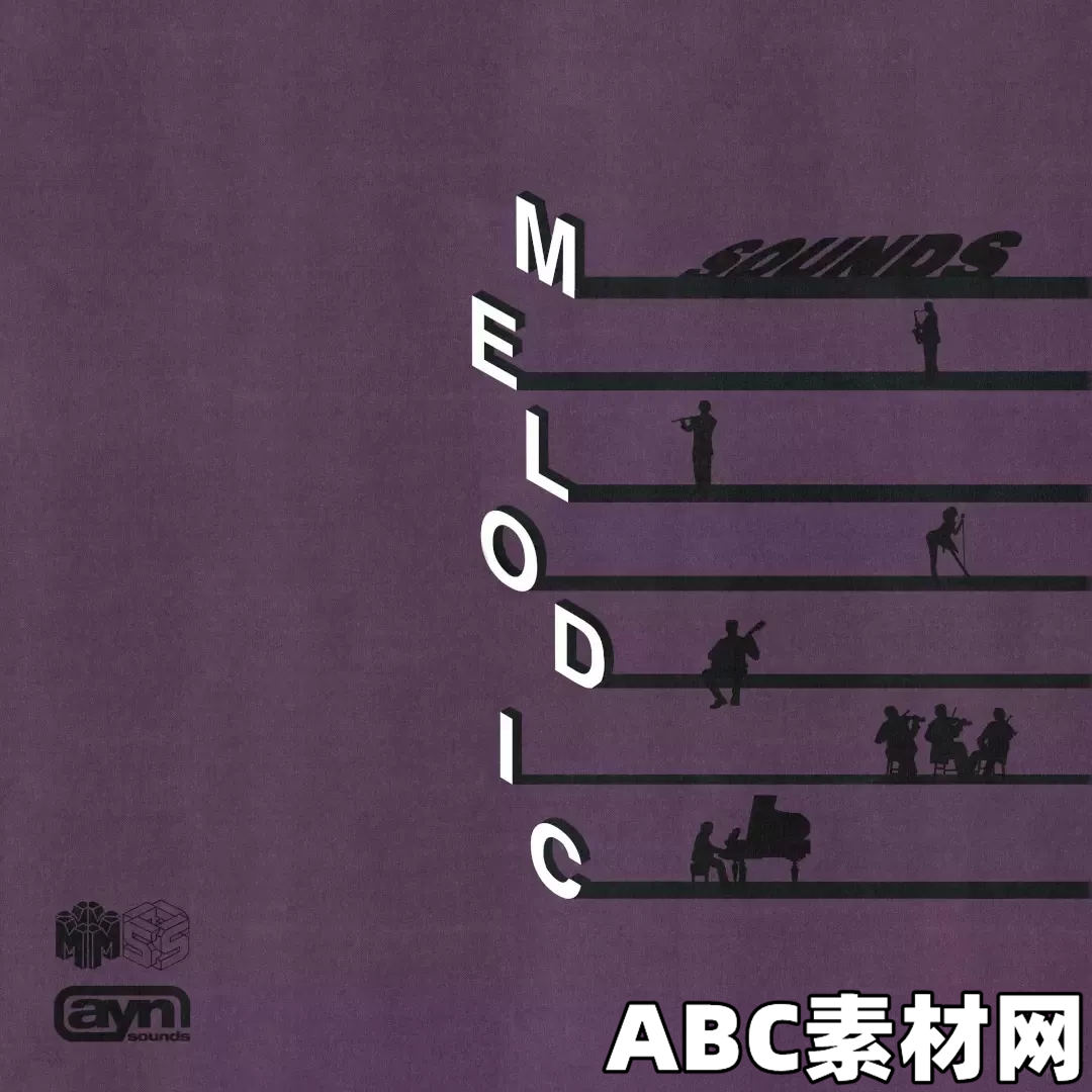 AYN Sounds Melodic Sounds Multi-Kit MULTiFORMAT|ABC素材资源网