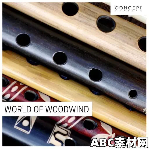 Concept Samples World Of Woodwind WAV|ABC素材资源网