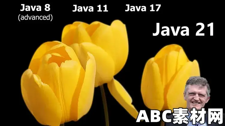 Java 21, Java 17, Java 11 and Advanced Java 8|ABC素材资源网