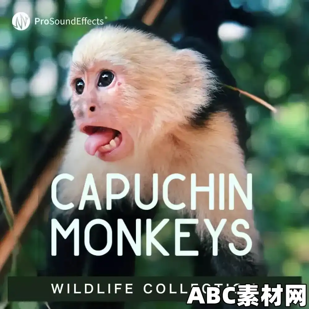 Pro Sound Effects Wildlife Collection Capuchin Monkeys WAV|ABC素材资源网