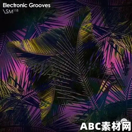 Sample Magic Electronic Grooves WAV|ABC素材资源网
