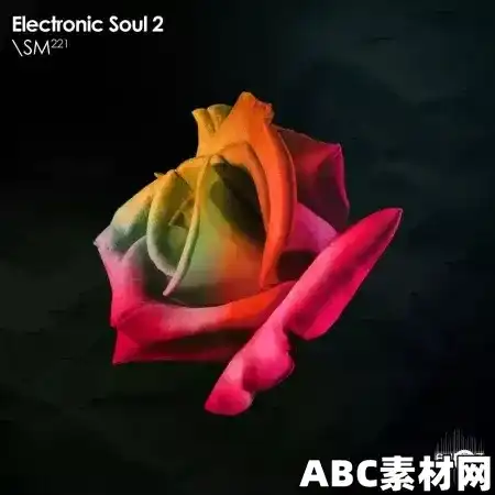Sample Magic Electronic Soul 2 WAV|ABC素材资源网