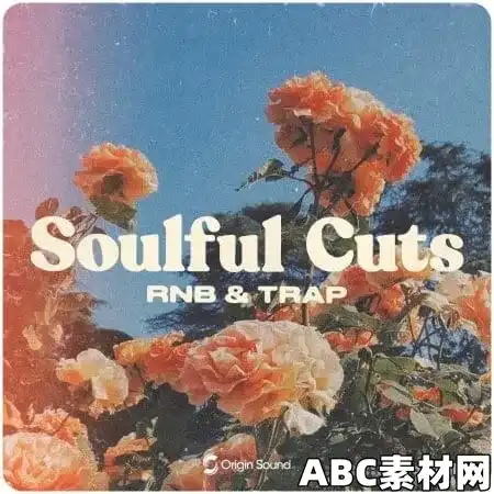 Origin Sound Soulful Cuts [WAV, Synth Presets]|ABC素材资源网