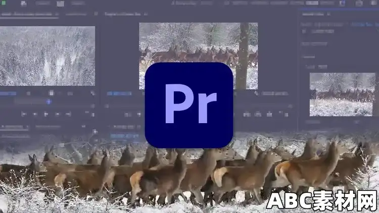 Learn Premiere Pro: Video Editing for Absolute Beginners|ABC素材资源网