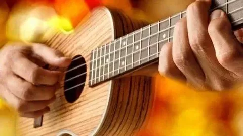 Udemy Fingerpicking Ukulele TUTORiAL|ABC素材资源网