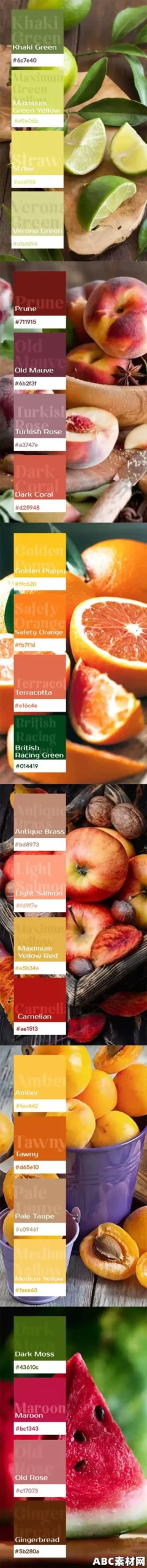 水果色彩PS调色板Fruit Color Palette Swatches for Photoshop|ABC素材资源网