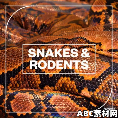 Blastwave FX Snakes and Rodents WAV|ABC素材资源网