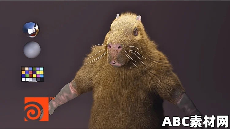 Fundamentals of Fur Grooming in Houdini|ABC素材资源网