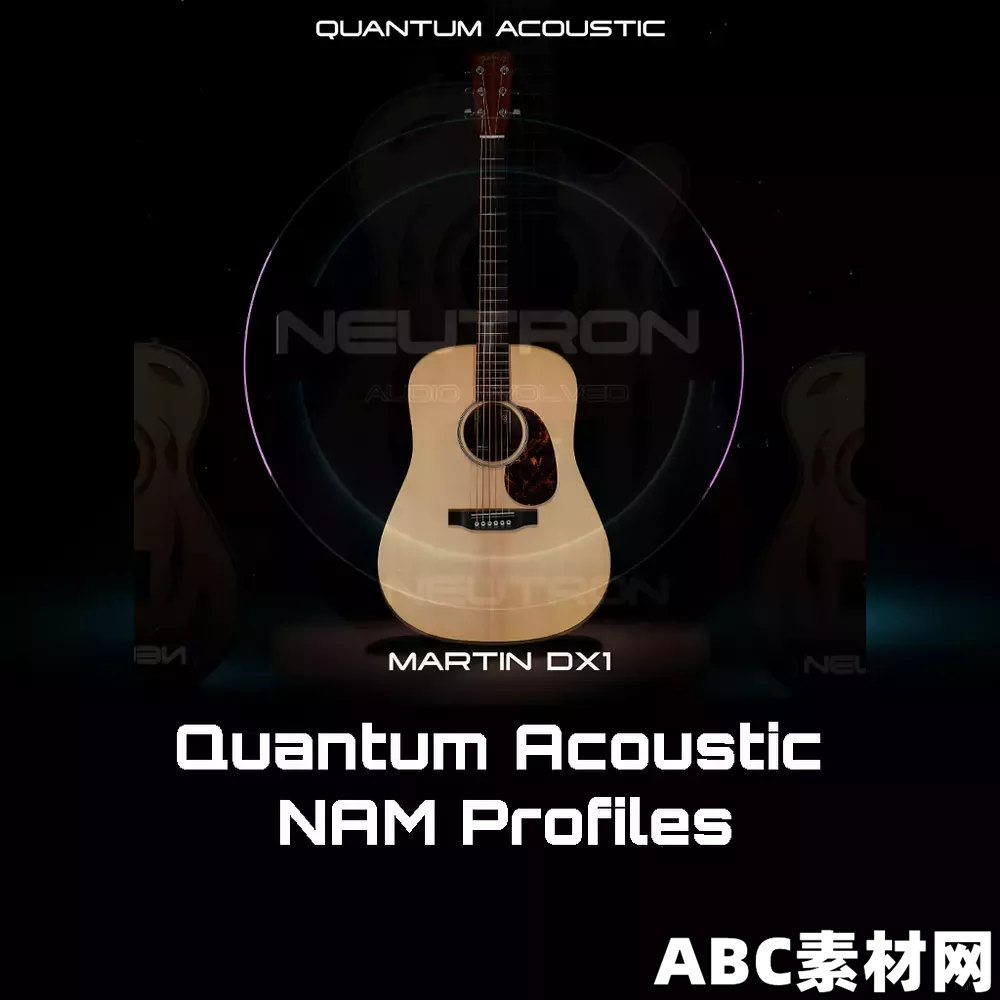 Neutron Studios Martin DX1 NAM PROFILES|ABC素材资源网