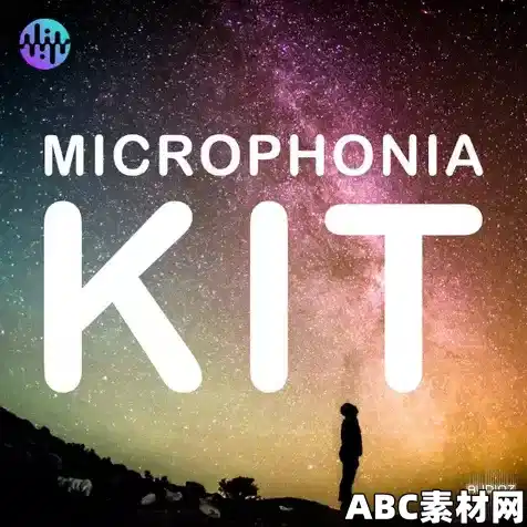 Noiiz Microphonia Kit MULTiFORMAT|ABC素材资源网